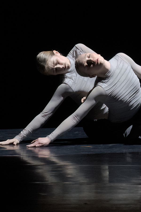 Home | Fall For Dance North