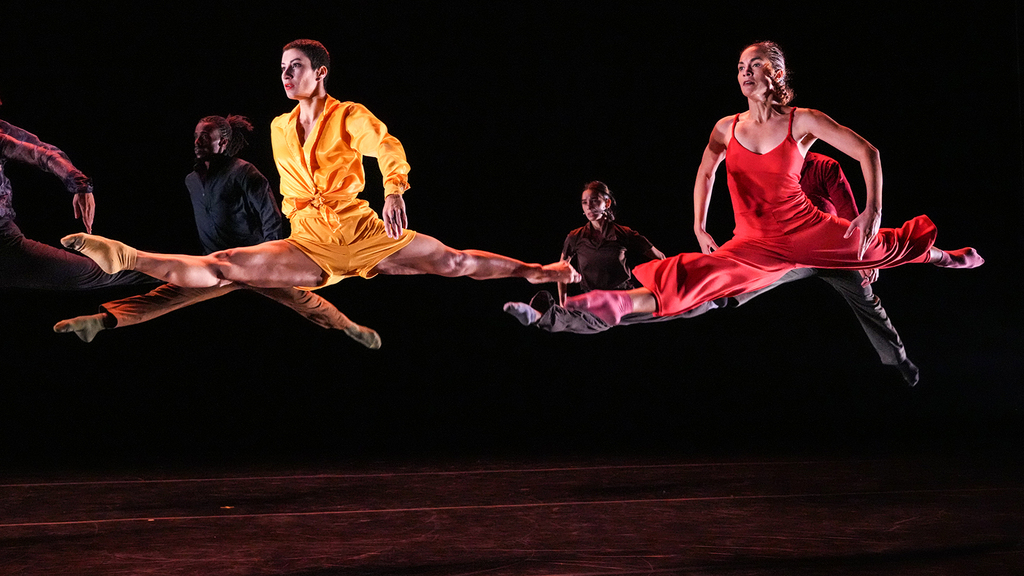 Home | Fall For Dance North